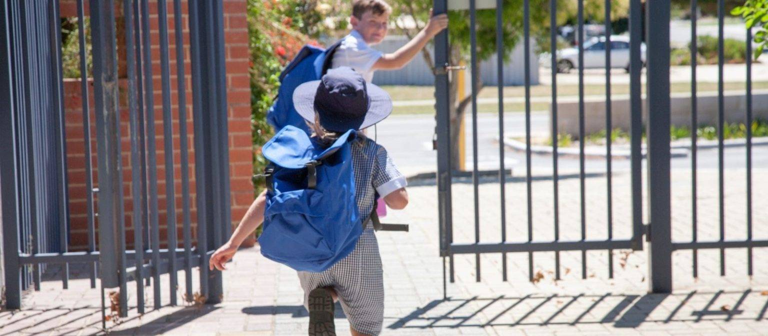 Top Schools in Hamilton NZ for Families Moving Here | DB Movers